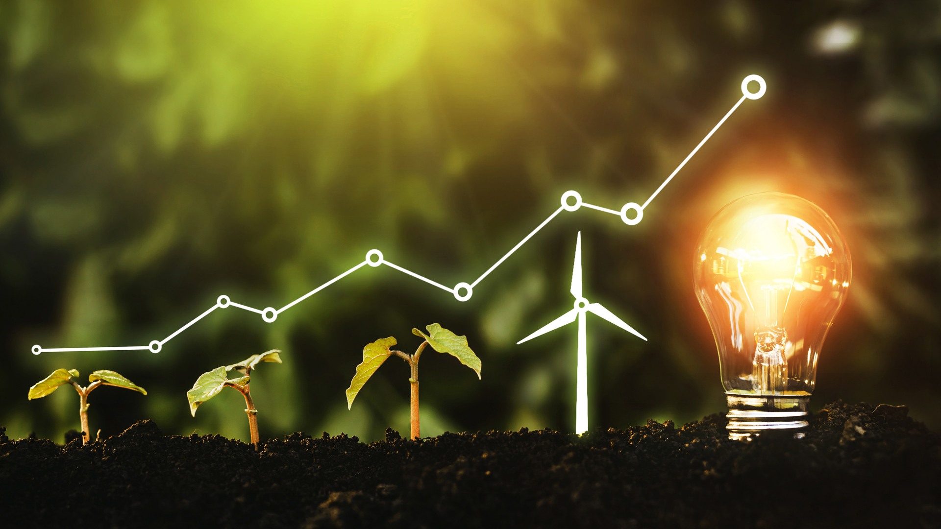 28 startup green italiane da tenere d'occhio - Economyup